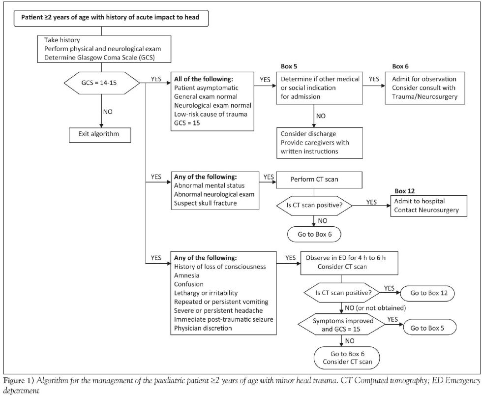 Pediatric Head Trauma Management Tool | Pedsconcussion.com