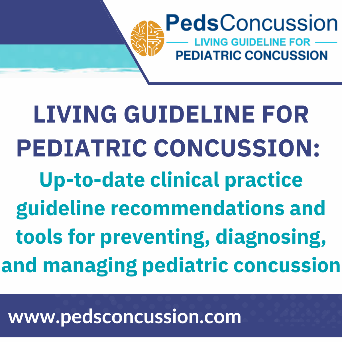 Endorsements and Partners - Living Guideline for Pediatric Concussion Care